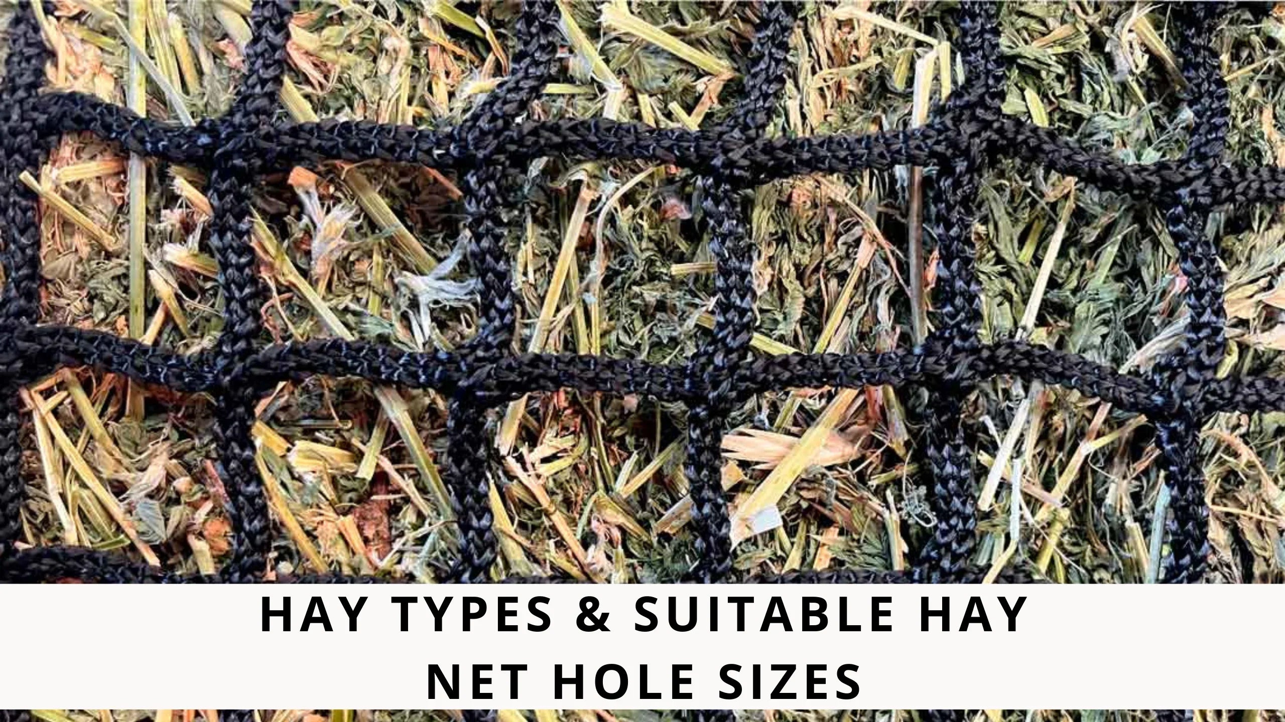Hay types & suitable hay net hole sizes – Gutzbusta UK