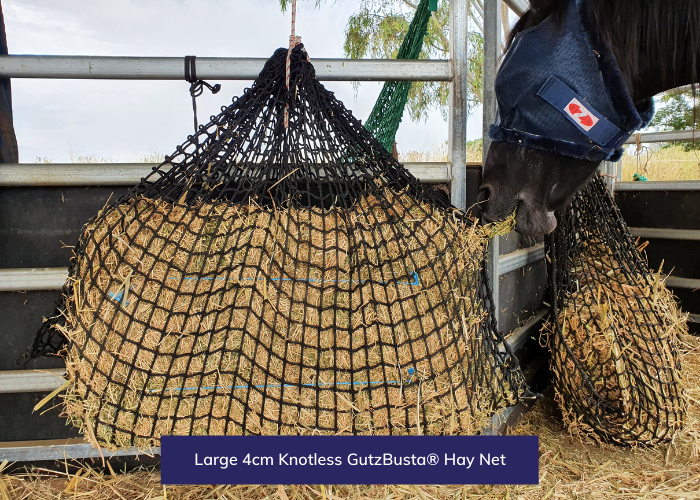 Knotless Hay Nets - Large – Gutzbusta UK