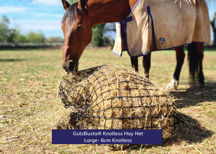 Slow Feed Hay Net 5x5 Feet Round Bale Hay Net - Knotless Slow Feed Net ...
